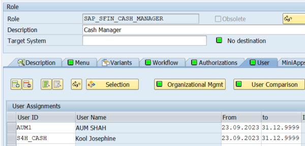 SAP Bank Account Management - AIERP2